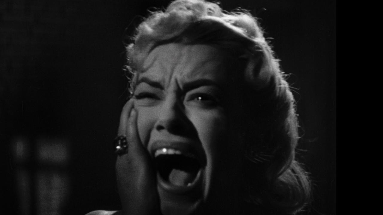 Le Vampire noir | ADRC